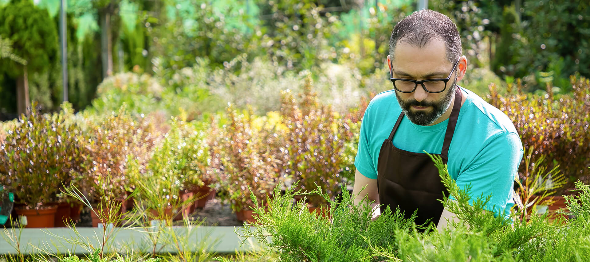 Tend To Gardening Life